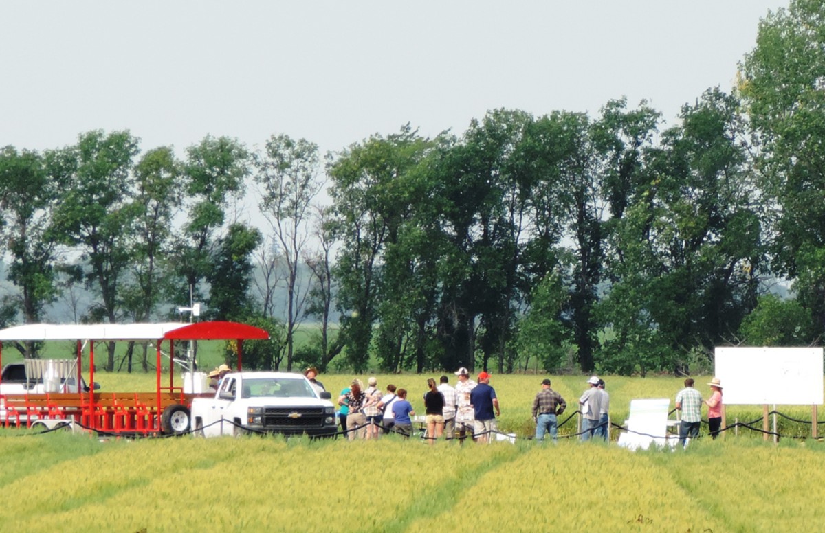 UM Today | Faculty of Agricultural and Food Sciences | Sustainable farm ...