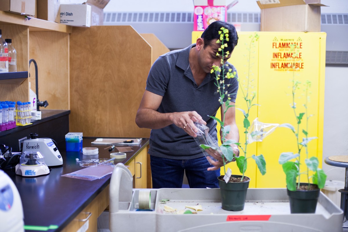 UM Today | Faculty of Science | Species-specific crop protection