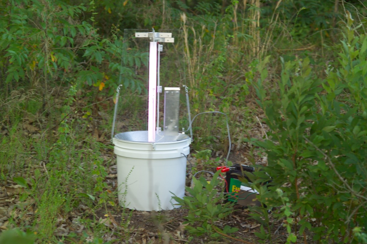 UM Today | Faculty of Science | BIOL 4542 brings research to life