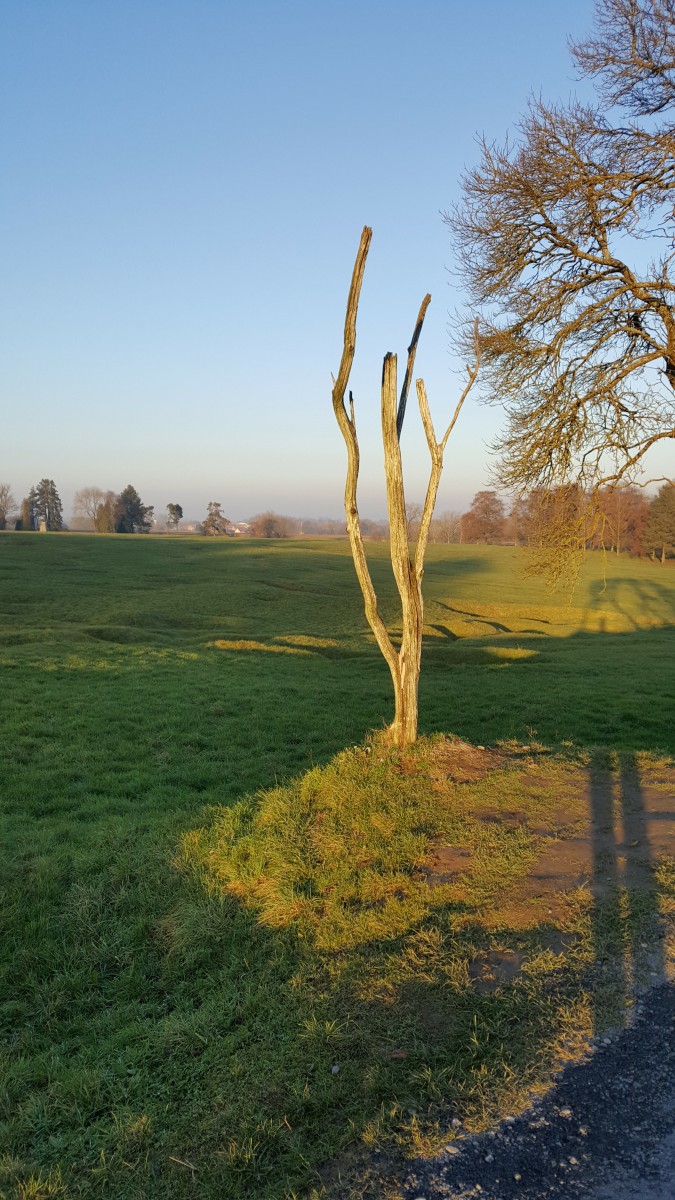 UM Today | Alumni Abroad: Sharing the story of sacrifice