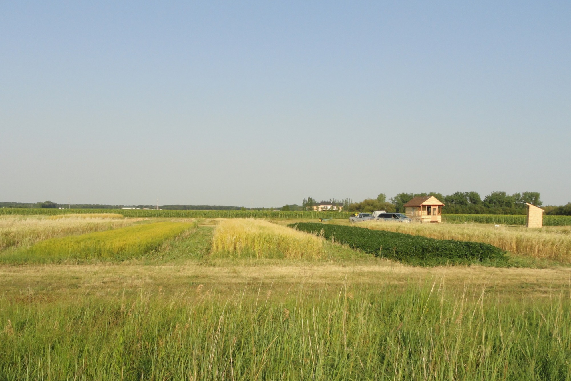 UM Today | Faculty of Agricultural and Food Sciences | Better Farming ...