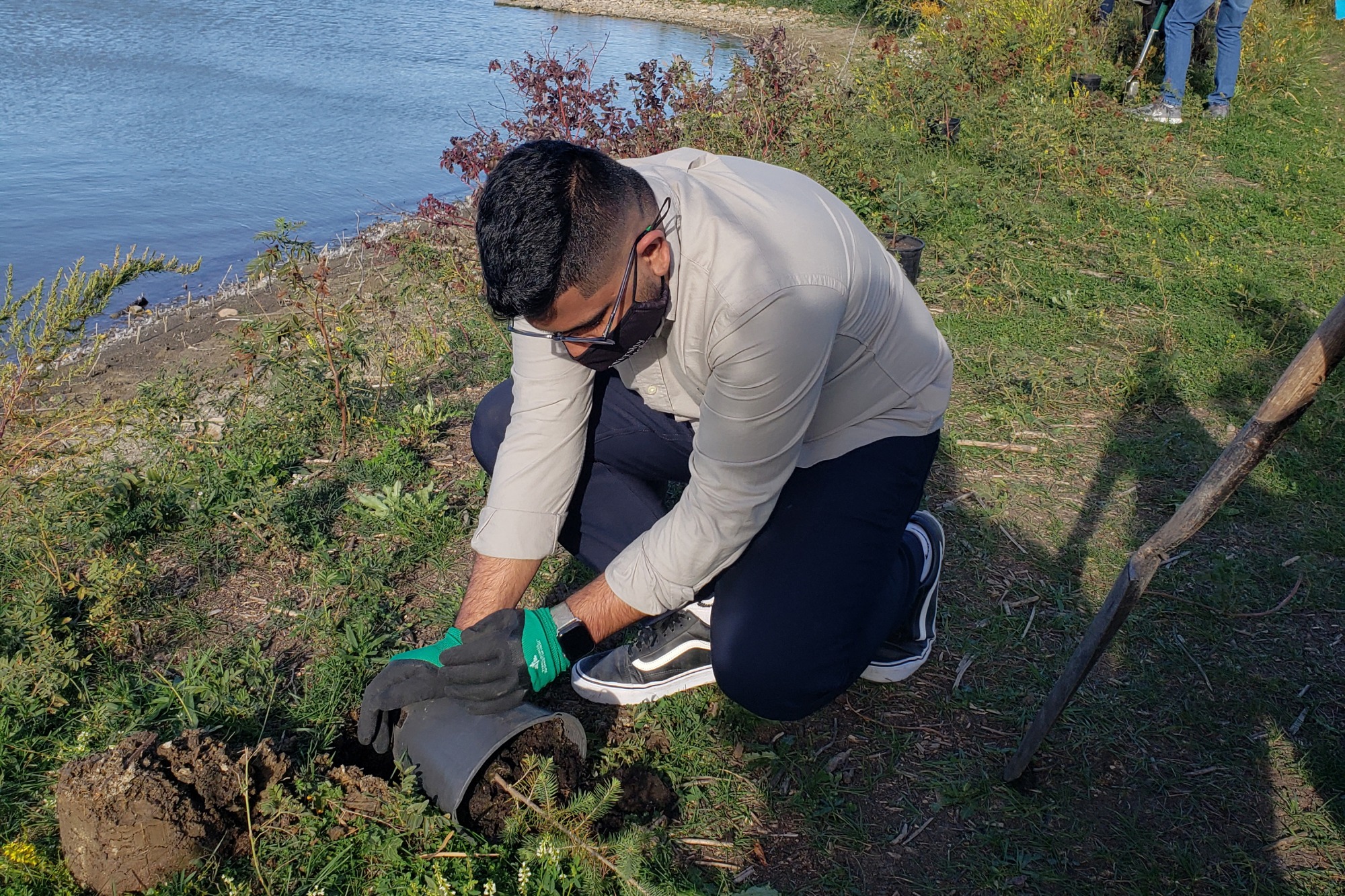 UM Today | Science students contribute to Million Tree Challenge on ...