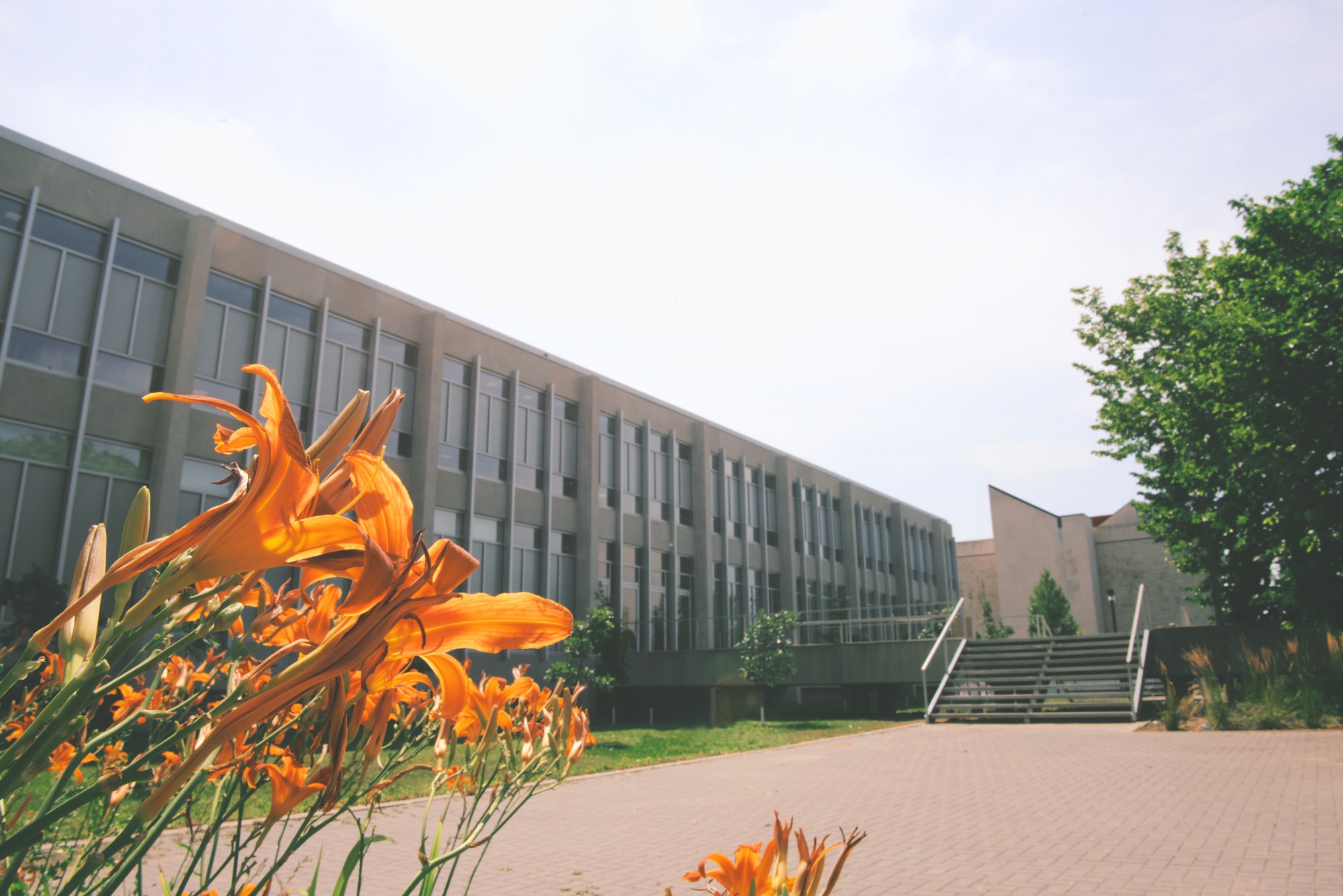 UM Today | Students | Remember – Fall Term Revision Period ends this week!