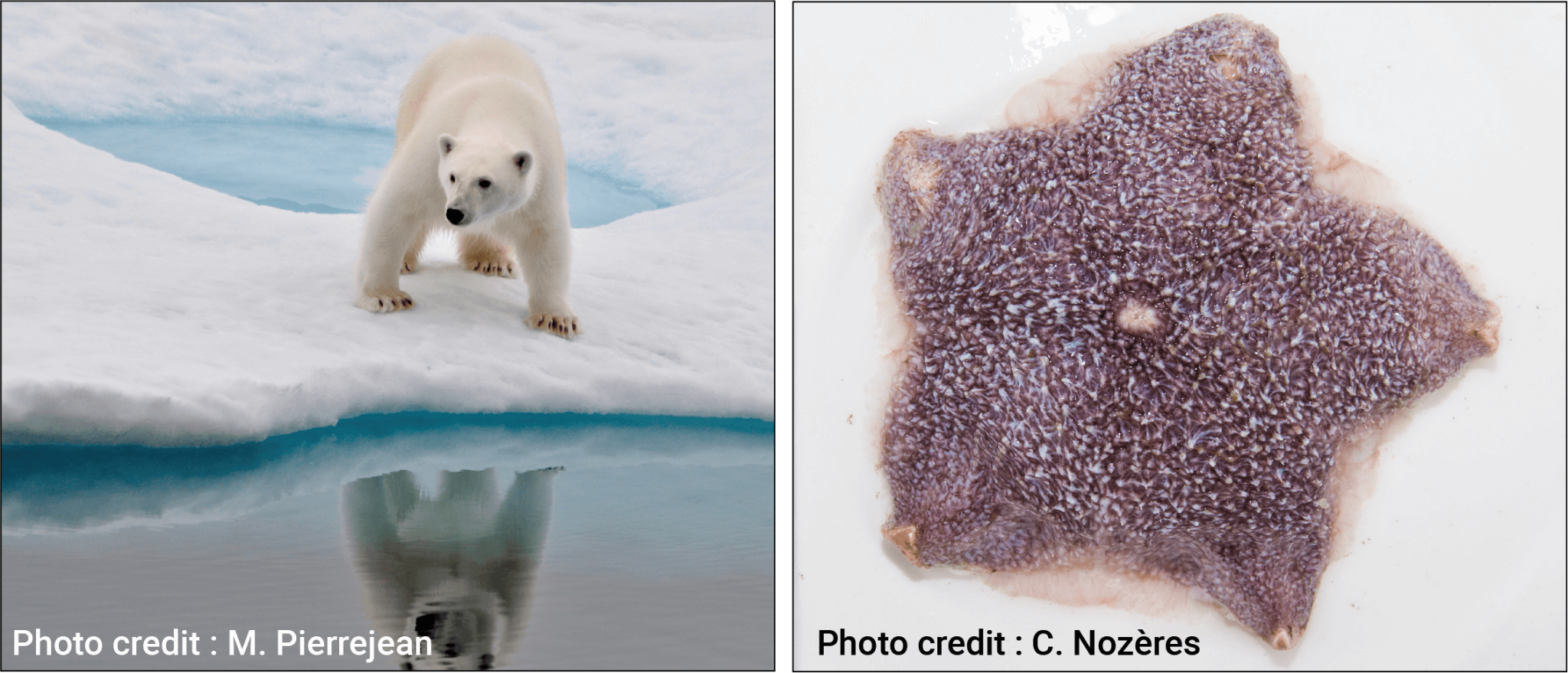 UM Today | Clayton H. Riddell Faculty of Environment, Earth, and ...