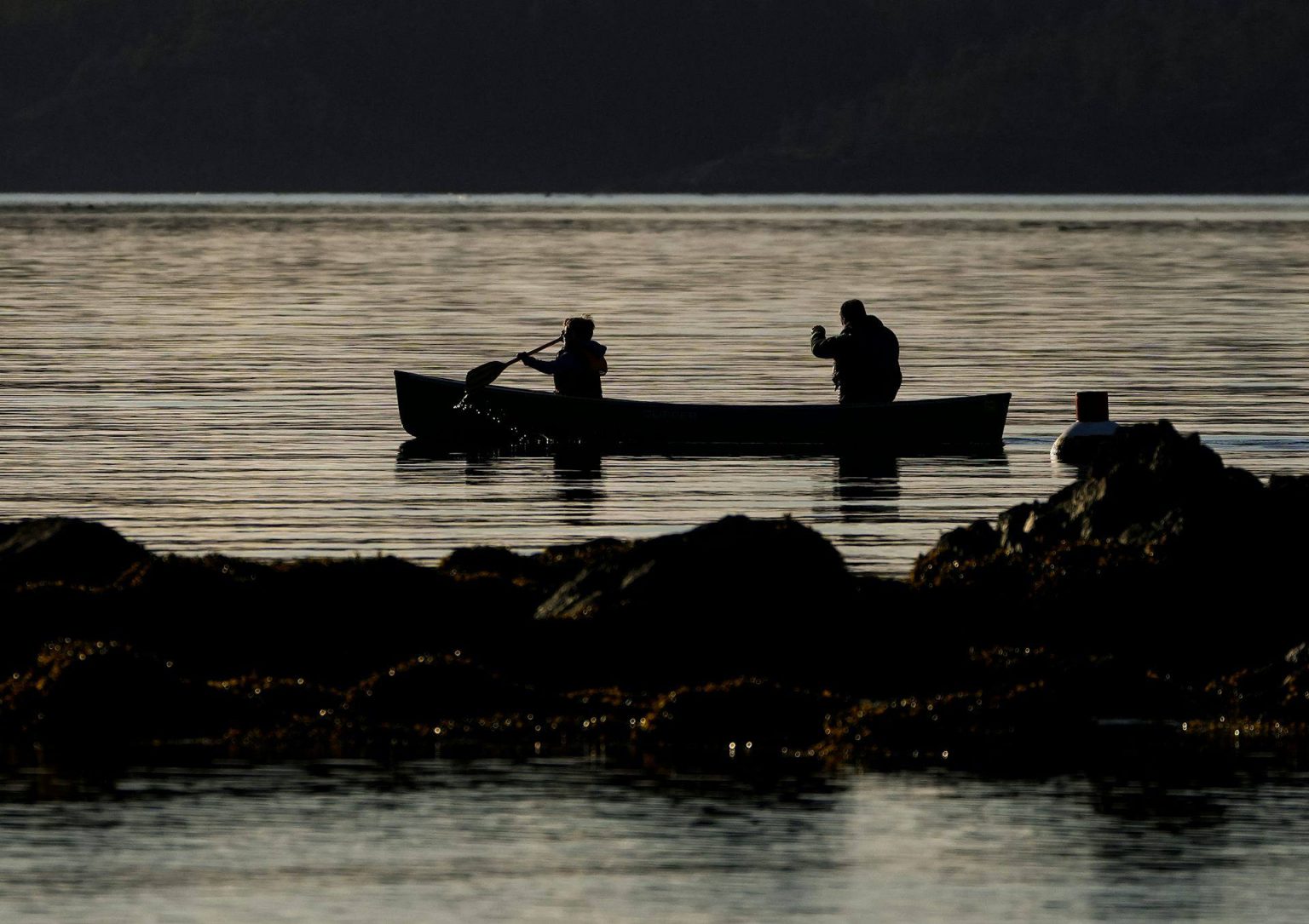 UM Today | Research and International | UM in the News | The ...