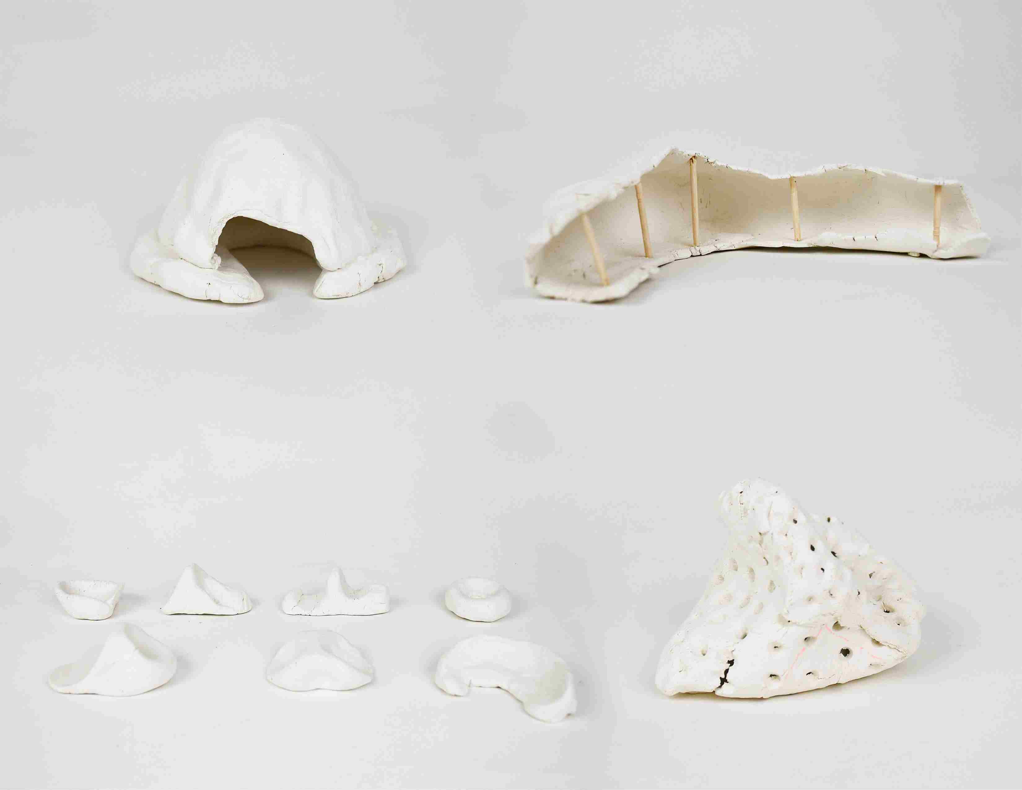 UM Today | Faculty of Architecture | Interdisciplinary student team ...